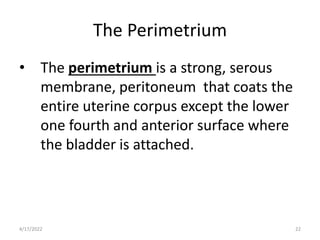 Uterus Anatomy.pptx