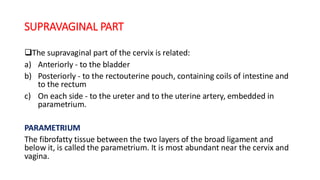 Uterus and vagina Female reproductive organs .pdf