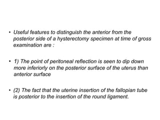 Uterus Grossing .pptx
