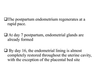 Uterus in Special Conditions lay lay bhai | PPTX | Pregnancy ...