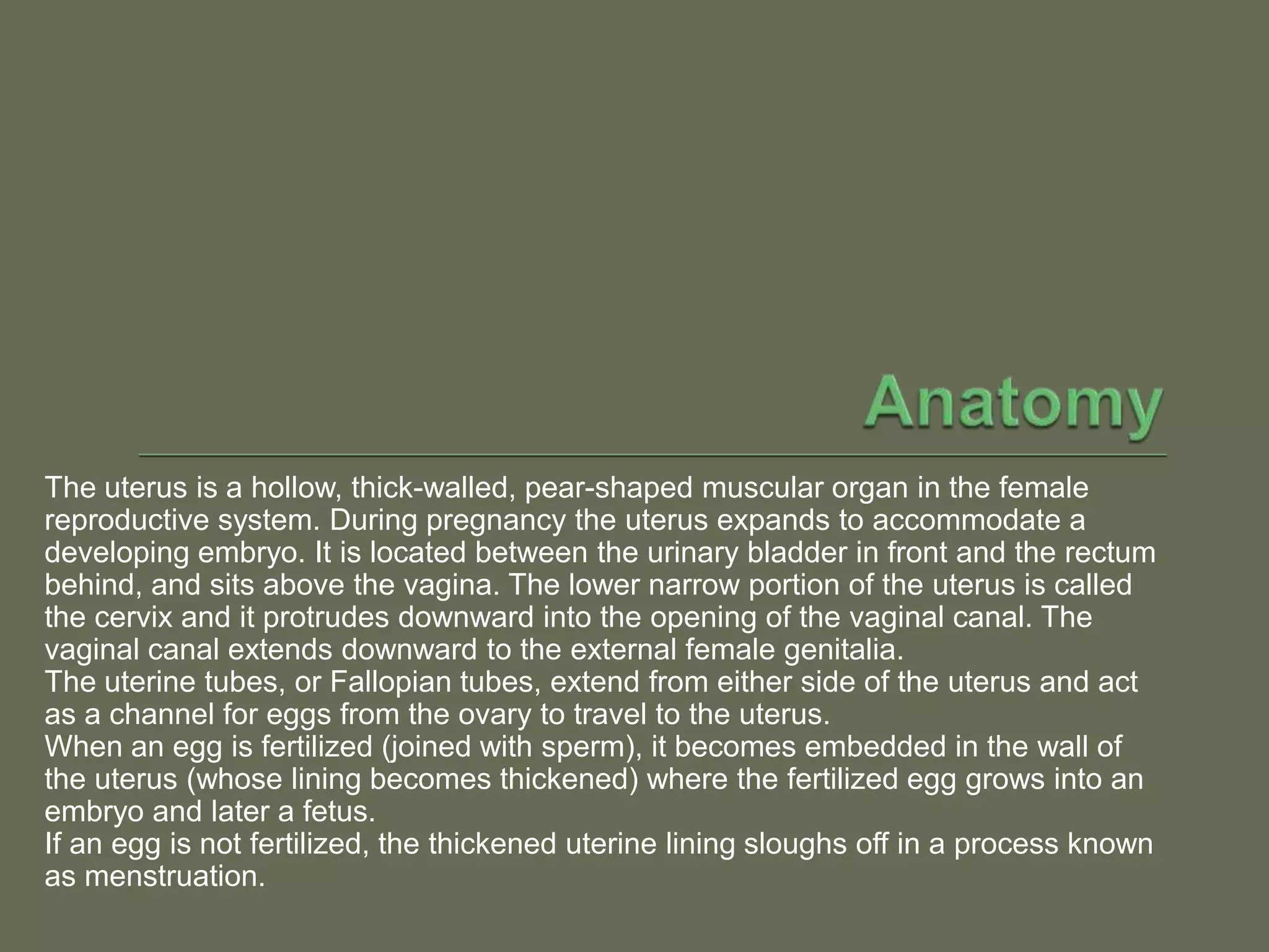Uterus_KLewis | PPTX