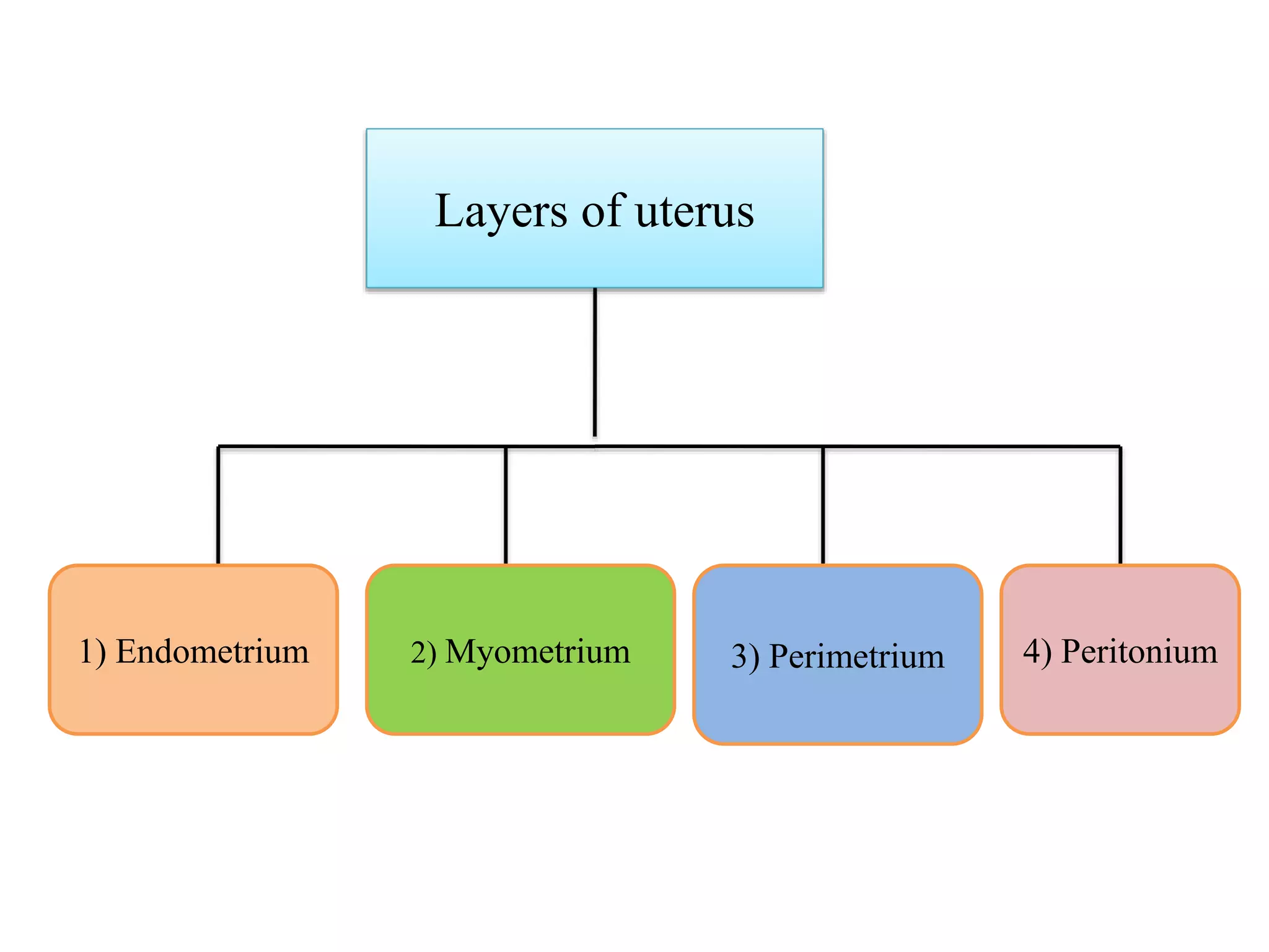 uterus modification.pptx