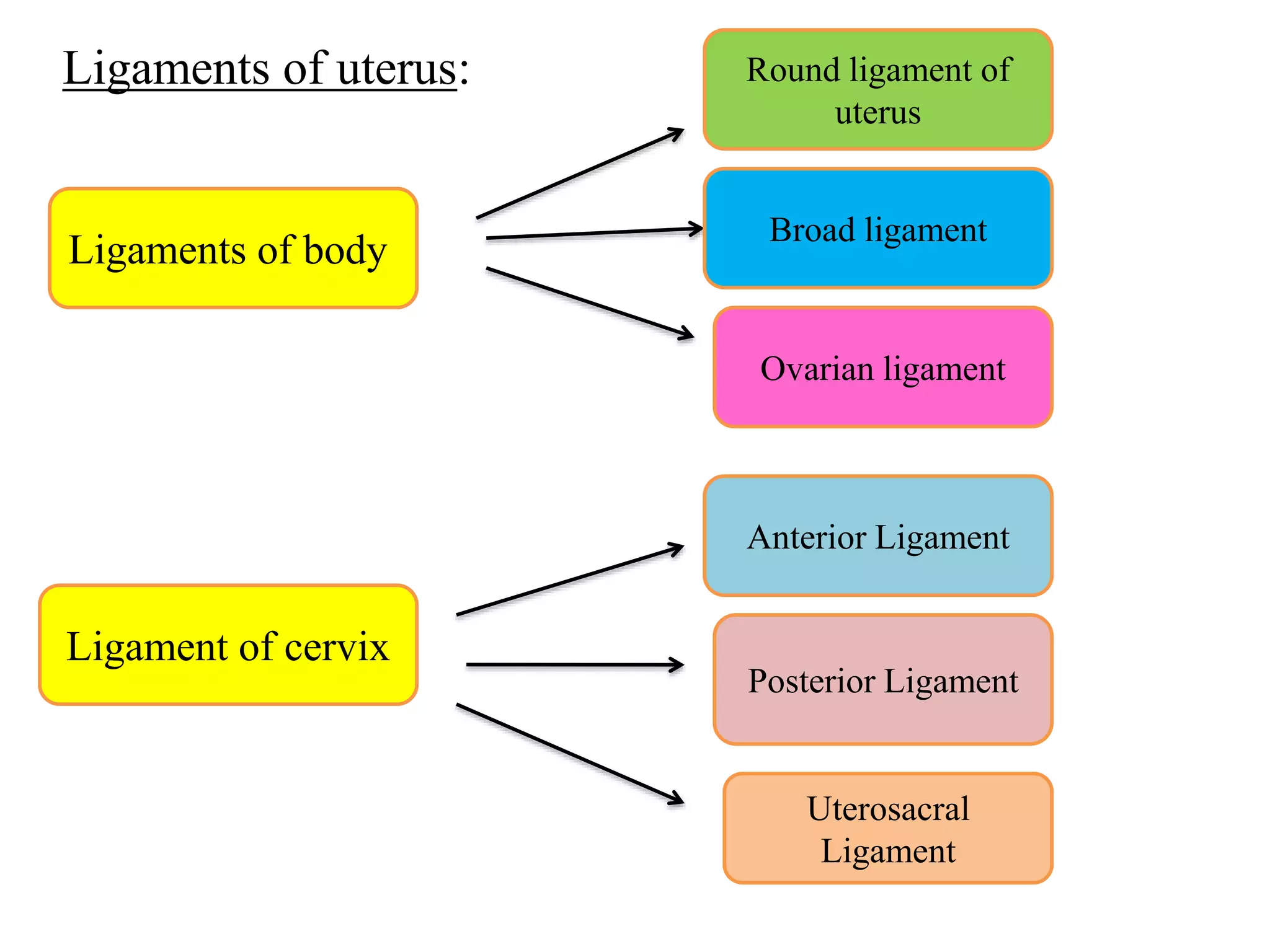 uterus modification.pptx