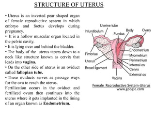 uterus modification.pptx