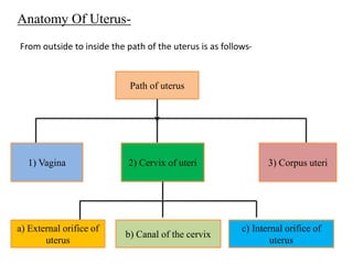 uterus modification.pptx
