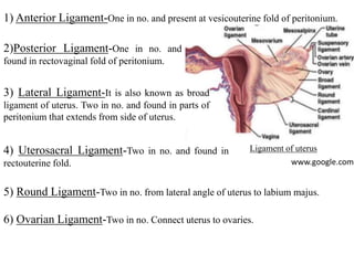 uterus modification.pptx