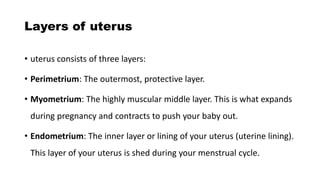 UTERUS_Nursing.pptx