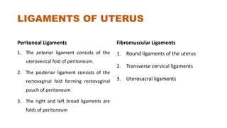 UTERUS_Nursing.pptx
