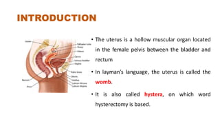 UTERUS_Nursing.pptx