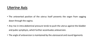 UTERUS_Nursing.pptx