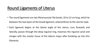 UTERUS_Nursing.pptx