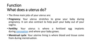 UTERUS_Nursing.pptx