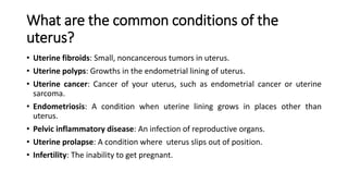UTERUS_Nursing.pptx