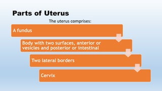 UTERUS_Nursing.pptx