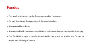 UTERUS_Nursing.pptx