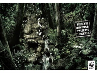 creative by wwf | PPT
