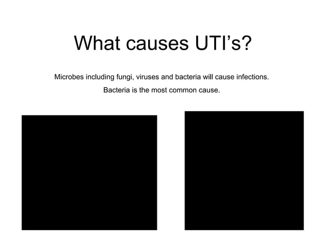 Uti | PPT
