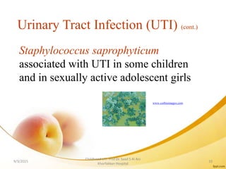 Urinary Tract Infections | PPTX