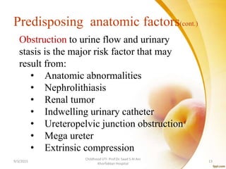 Urinary Tract Infections | PPTX | Parenting Babies and Toddlers | Parenting