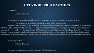 Urinary Tract Infection | PPTX