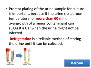uti-160315210213.pptxDDDDDDDDDDDDDDDDDDDD | PPT