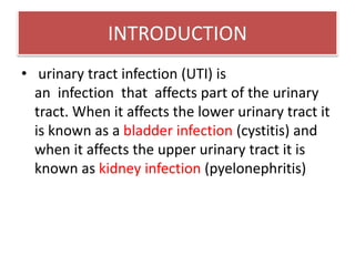 UTI | PPTX