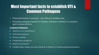 Urinary Tract Infection | PPT