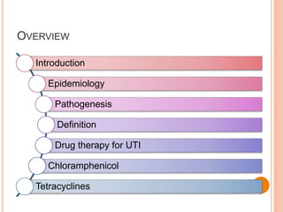 pharmacotherapy of Uti | PPTX