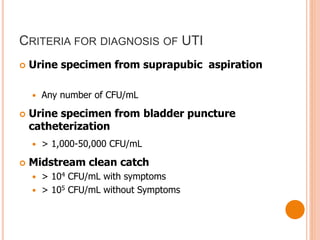 pharmacotherapy of Uti | PPTX