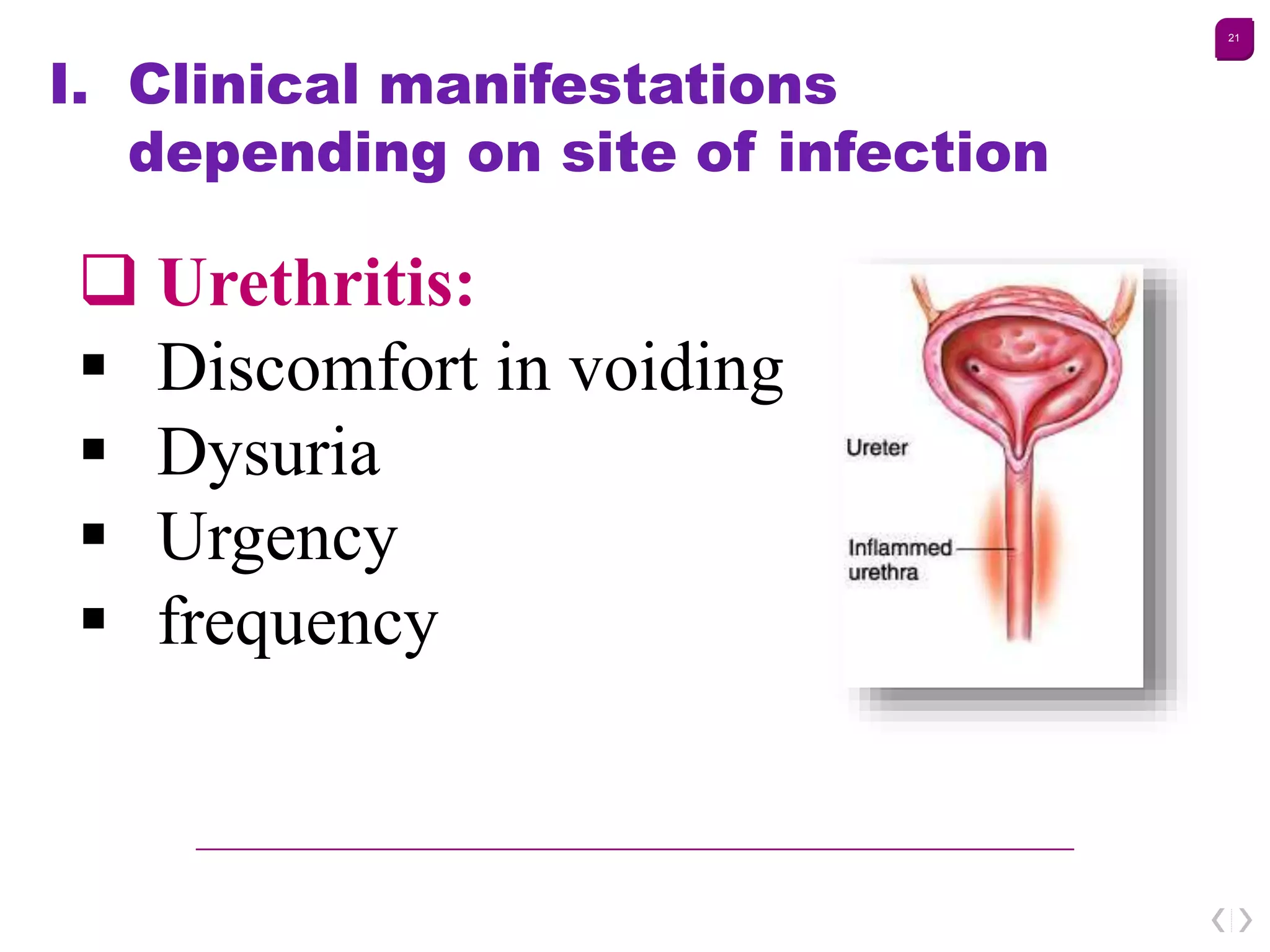 Urinary Tract Infections | PPTX