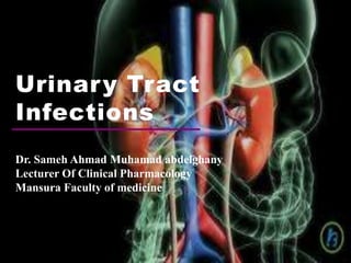 Urinary Tract Infections | PPTX