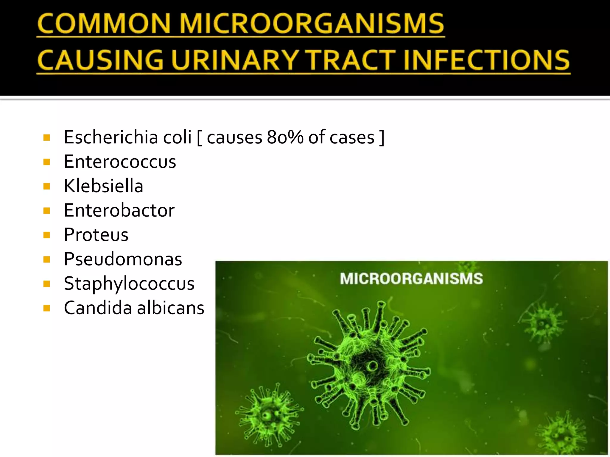 Urinary Tract Infection with Nursing Management | PPTX