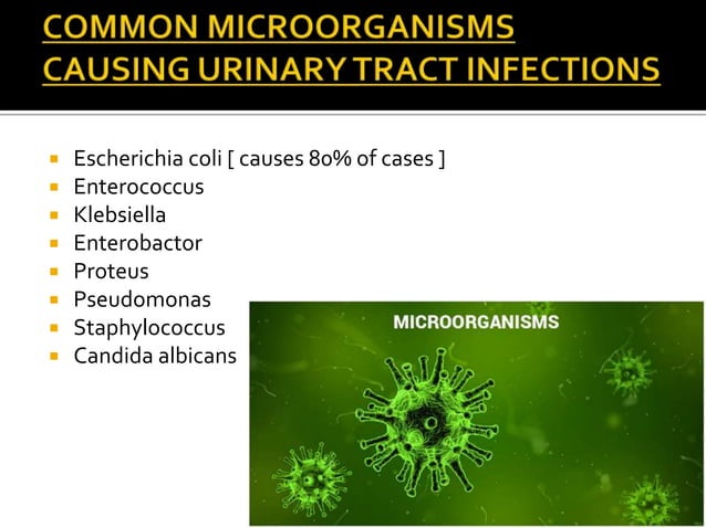 Urinary Tract Infection with Nursing Management | PPTX