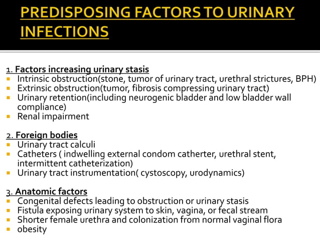 Urinary Tract Infection with Nursing Management | PPTX