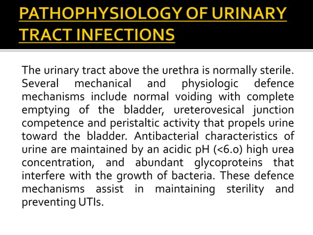 Urinary Tract Infection with Nursing Management | PPTX