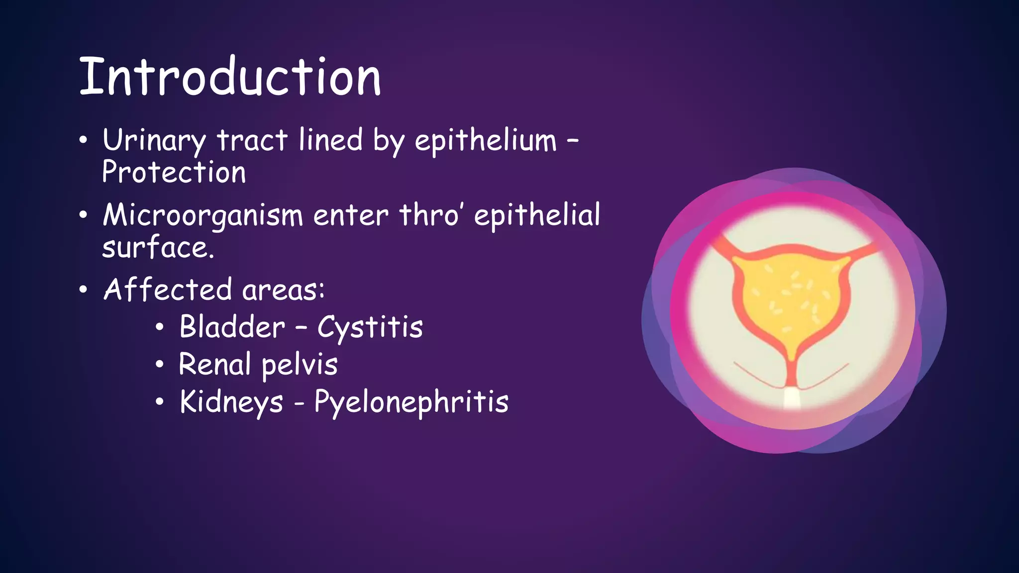 Urinary Tract Infection (UTI) | PPT