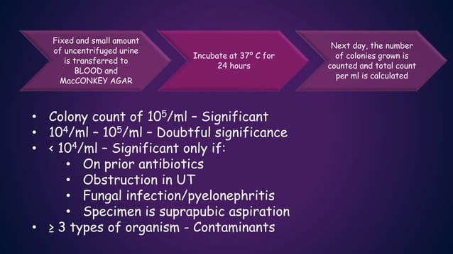 Urinary Tract Infection (UTI) | PPT