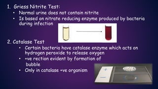 Urinary Tract Infection (UTI) | PPT