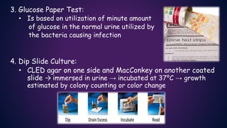 Urinary Tract Infection (UTI) | PPT