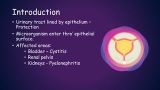 Urinary Tract Infection (UTI) | PPT