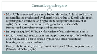 Urinary tract infection (UTI) | PPTX