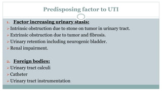 Urinary tract infection (UTI) | PPTX
