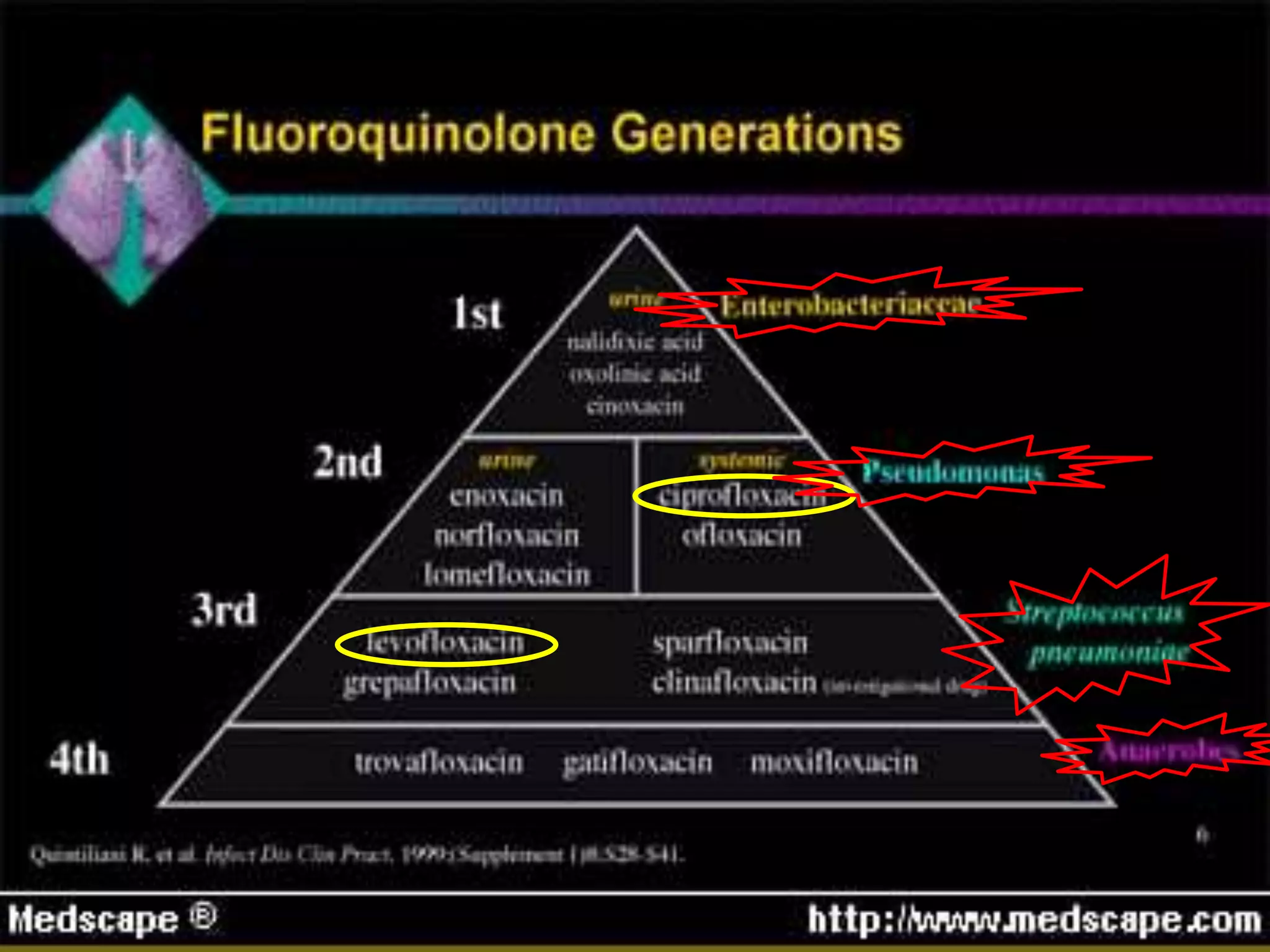 Clinical pharmacology.. Urinary tract infections | PPTX