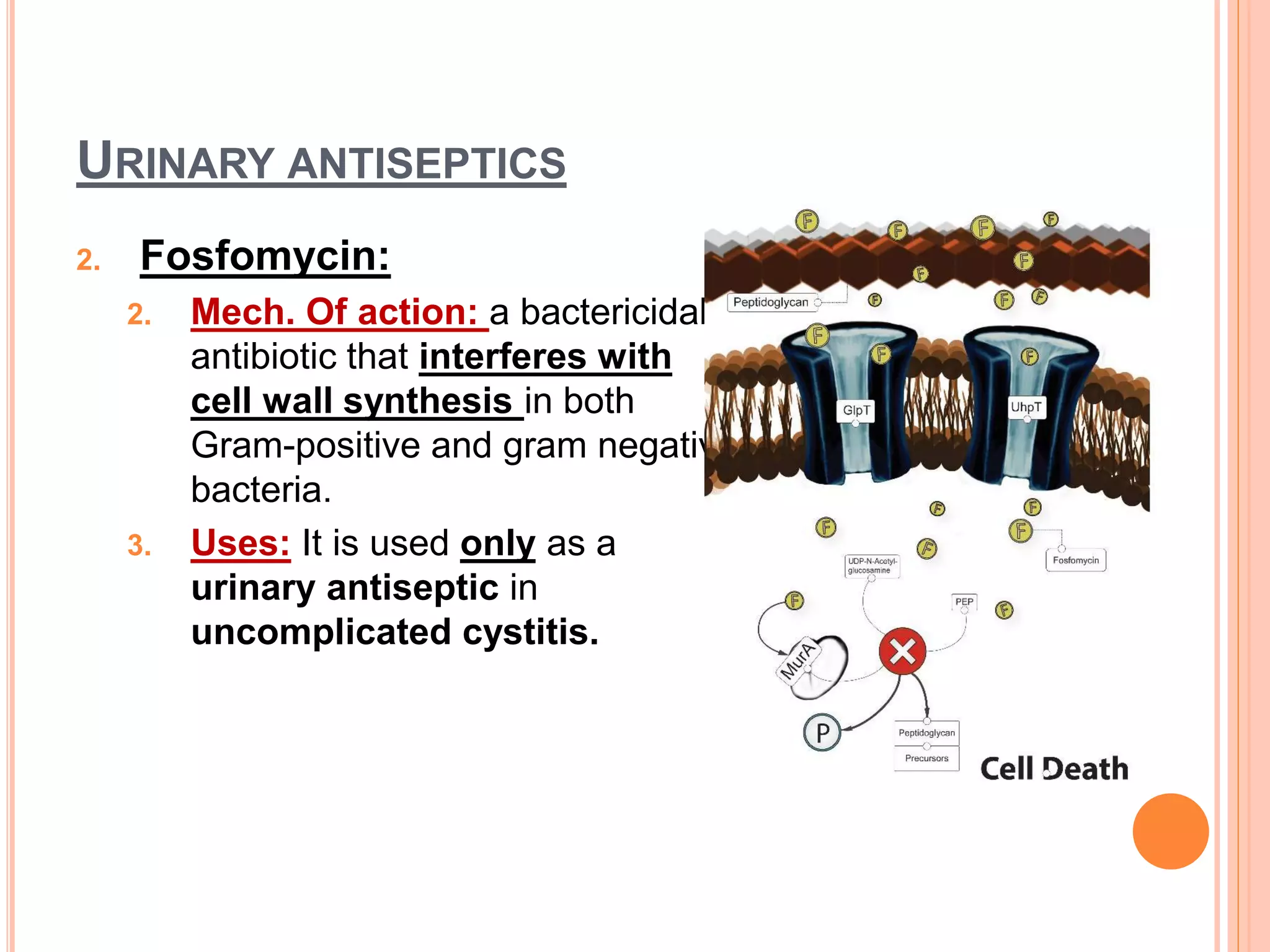 Clinical pharmacology.. Urinary tract infections | PPTX