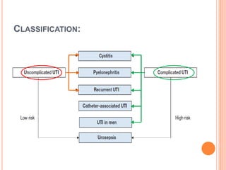 Clinical pharmacology.. Urinary tract infections | PPTX