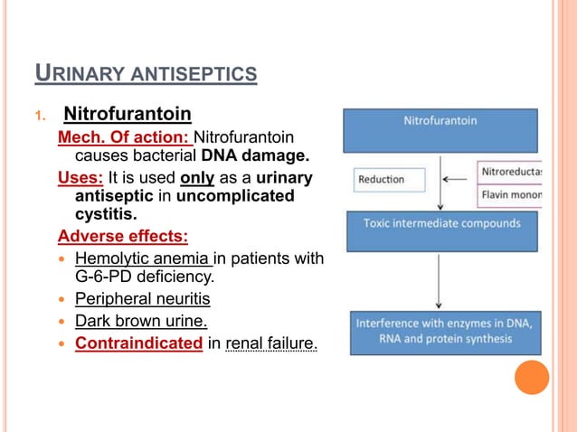 Clinical pharmacology.. Urinary tract infections | PPTX | Infectious ...