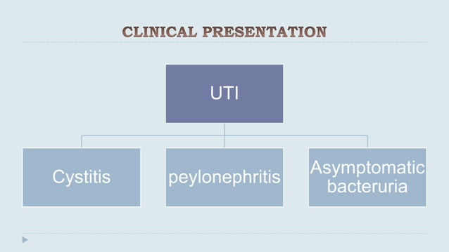 urinary tract infection in pediatrics | PPTX | Infectious Diseases ...