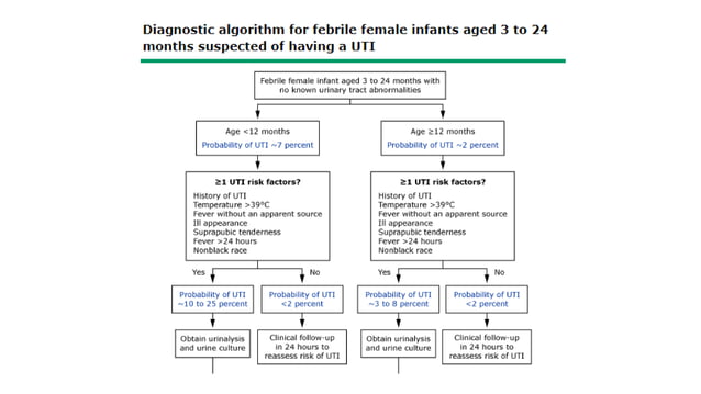 urinary tract infection in pediatrics | PPTX | Infectious Diseases ...