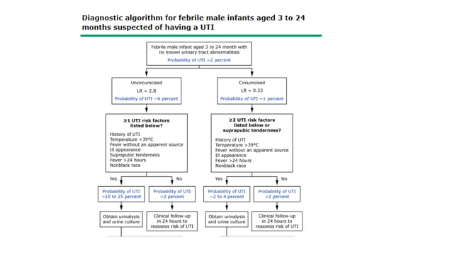 urinary tract infection in pediatrics | PPTX | Infectious Diseases ...