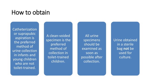 urinary tract infection in pediatrics | PPTX | Infectious Diseases ...